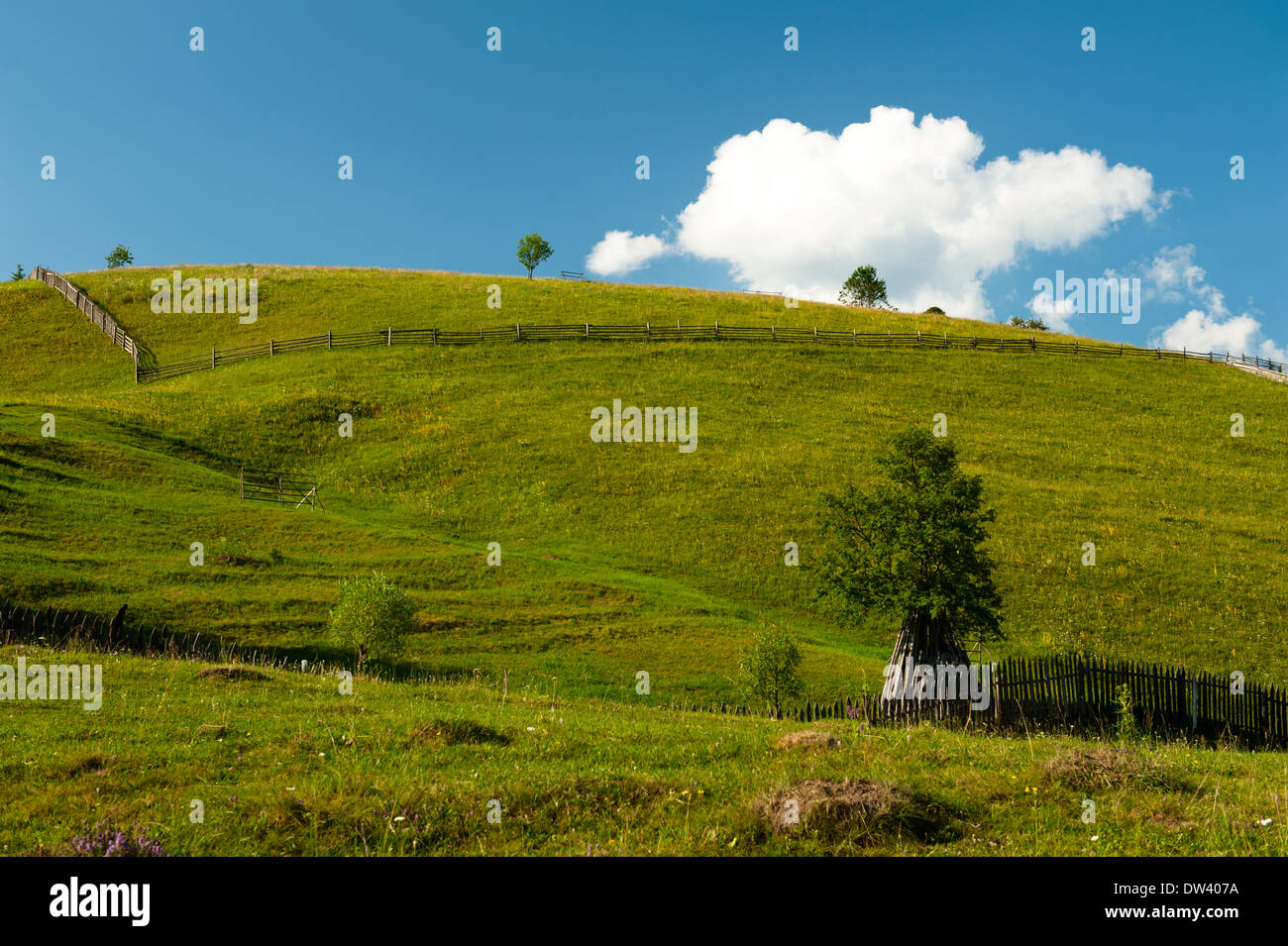 Landscape in Romania Stock Photo - Alamy