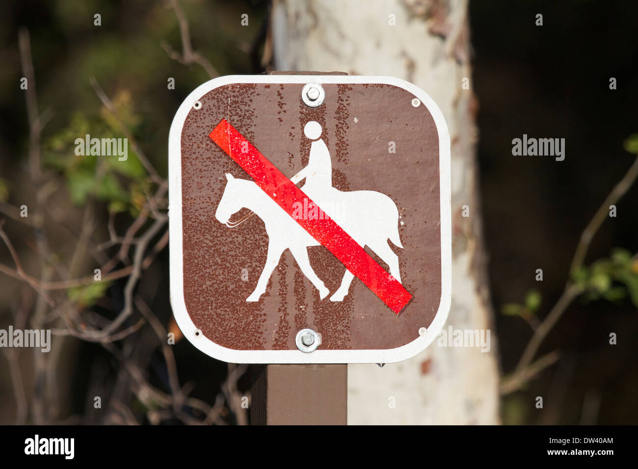 No horse riding trail sign Stock Photo - Alamy