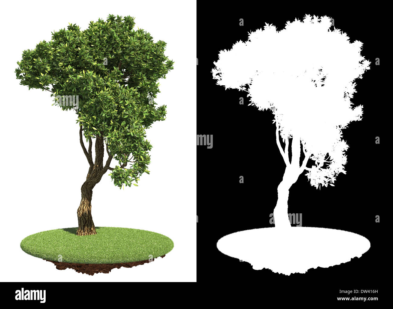 Curved tree trunk hi-res stock photography and images - Alamy