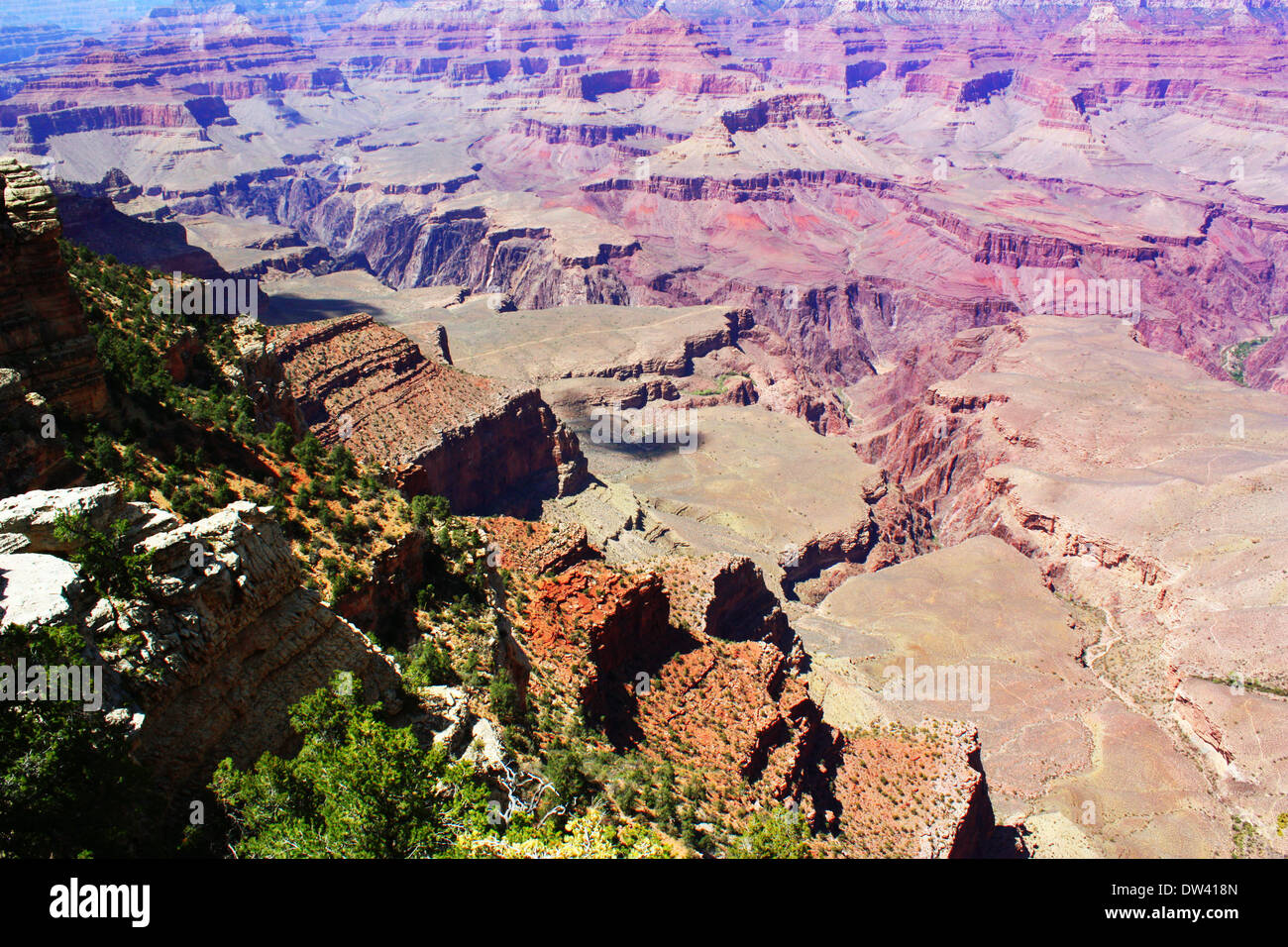 Grand Canyon rocks and trees Stock Photo - Alamy