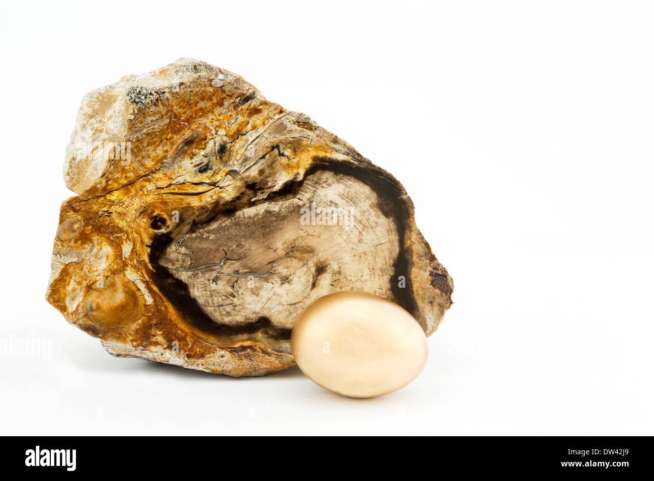 Petrified wood with gold hi-res stock photography and images - Alamy