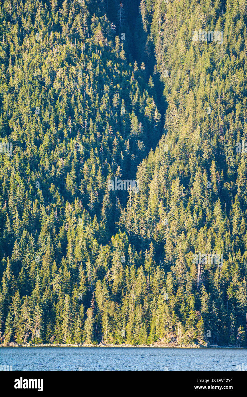 The Inside Passage of Southeast Alaska, Tongass National Forest, Alaska ...