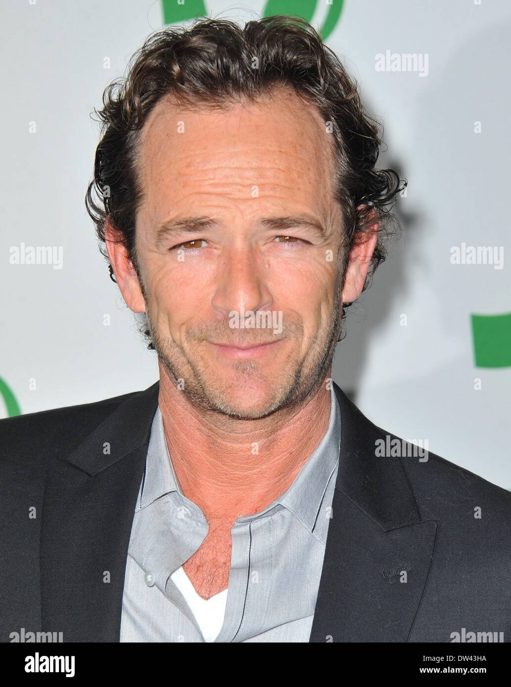 Los Angeles, CA, USA. 26th Feb, 2014. Luke Perry at arrivals for Global ...
