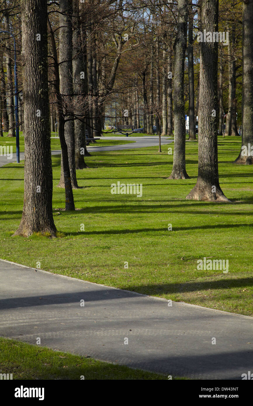 Path through town park at Hanmer Springs, North Canterbury, South ...