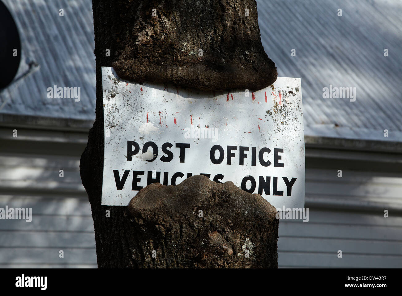 Tree growing over parking sign, Hanmer Springs, North Canterbury, South ...