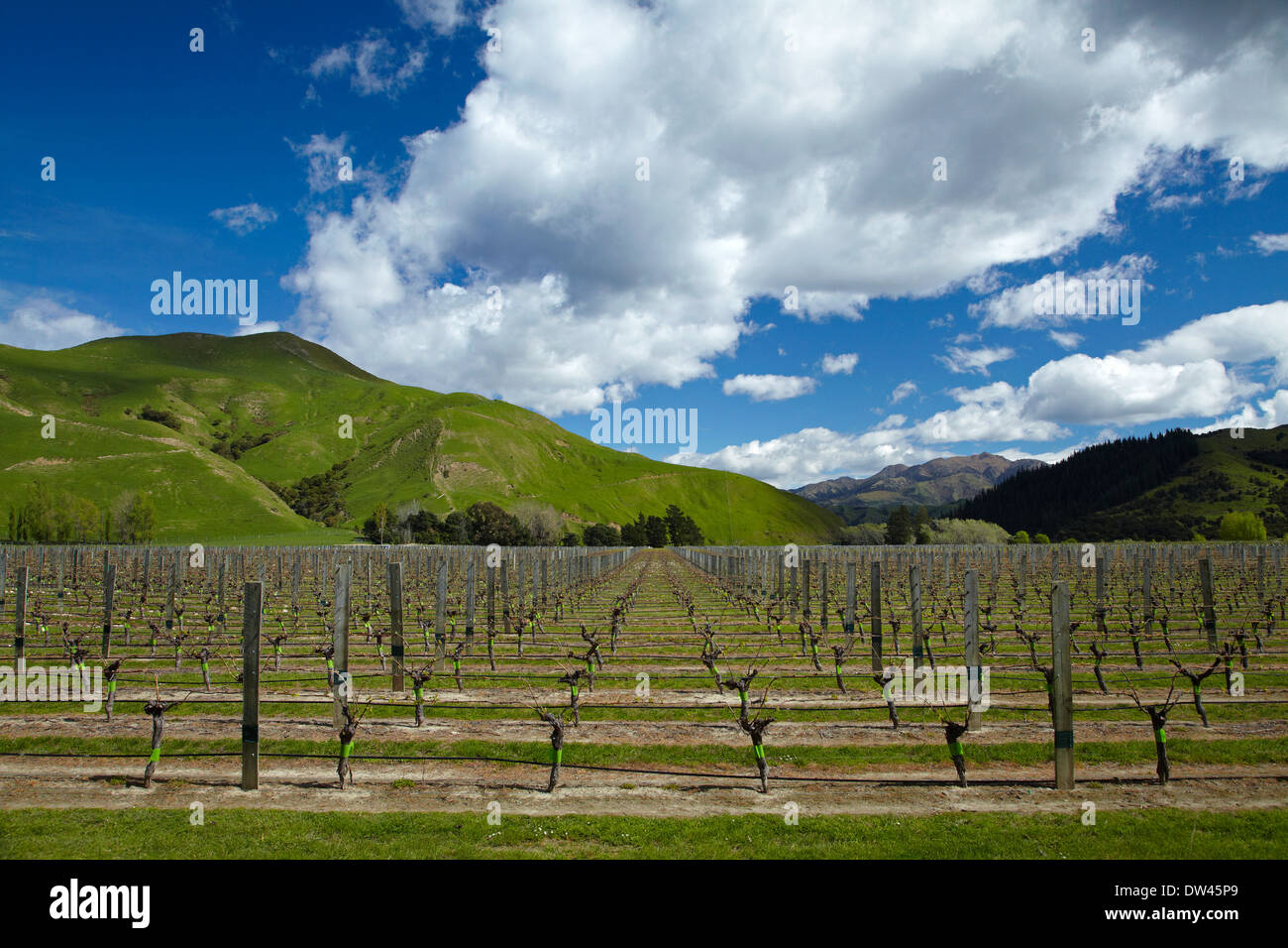Saint clair estate hi-res stock photography and images - Alamy