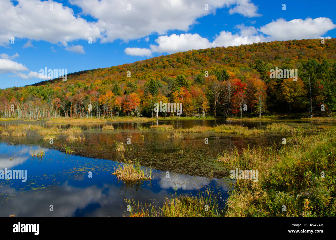 Jericho Burlington Vermont Fall Foliage colors on lake in Northern New ...