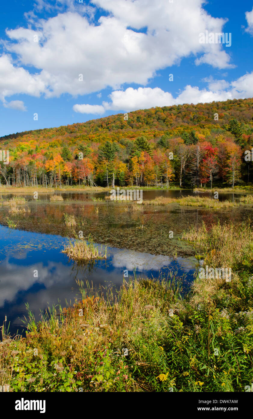 Jericho Burlington Vermont Fall Foliage colors on lake in Northern New ...