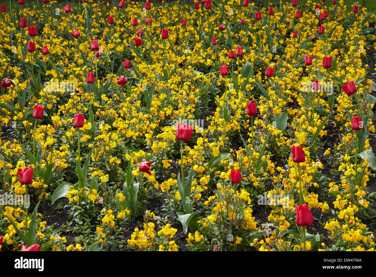 Timaru gardens hi-res stock photography and images - Alamy