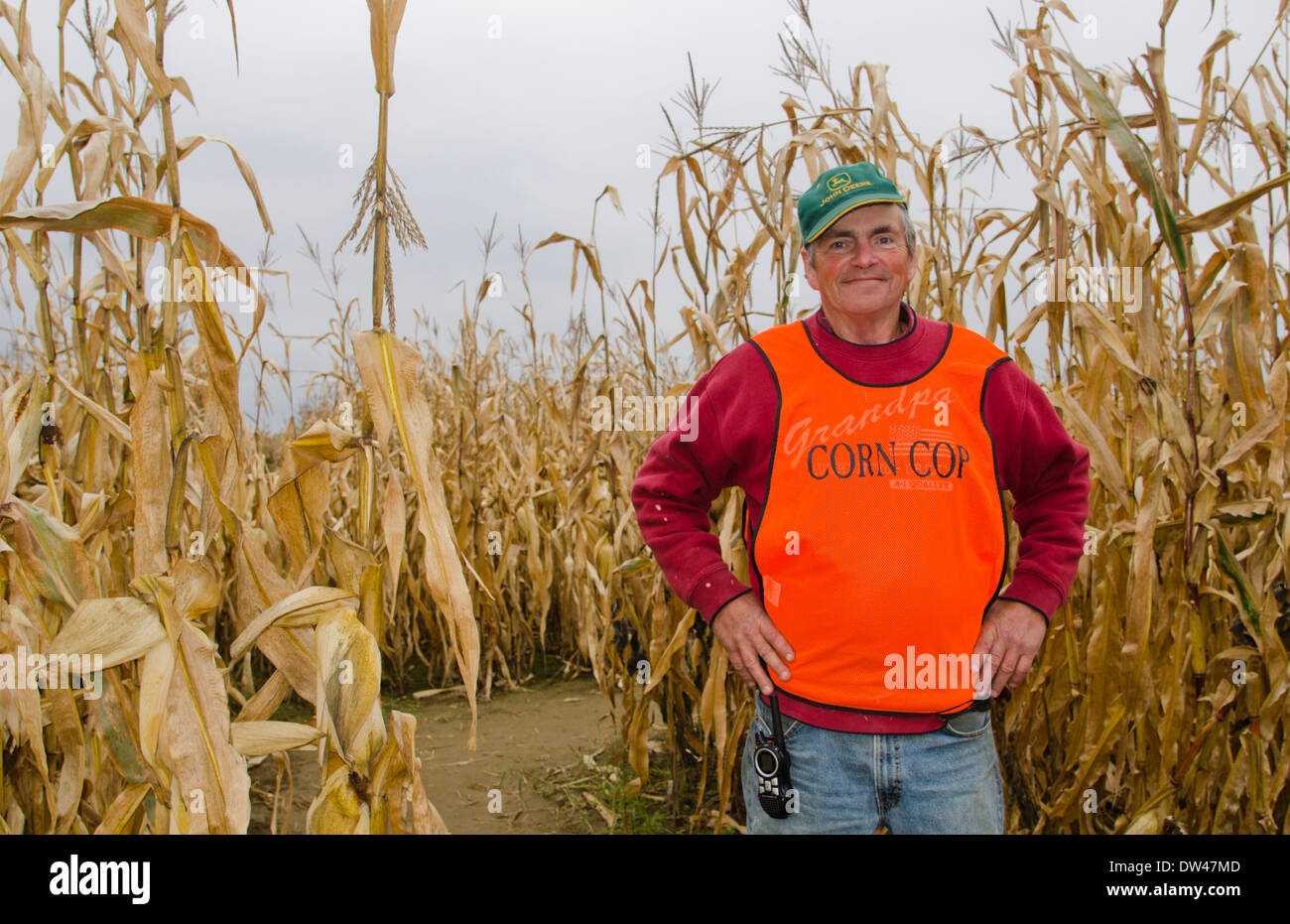Farmington Maine fall activity Corn Maze in field with corn stalks and ...