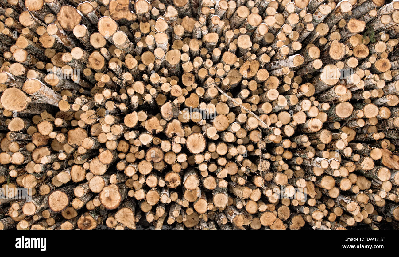 Logs of different sizes hi-res stock photography and images - Alamy