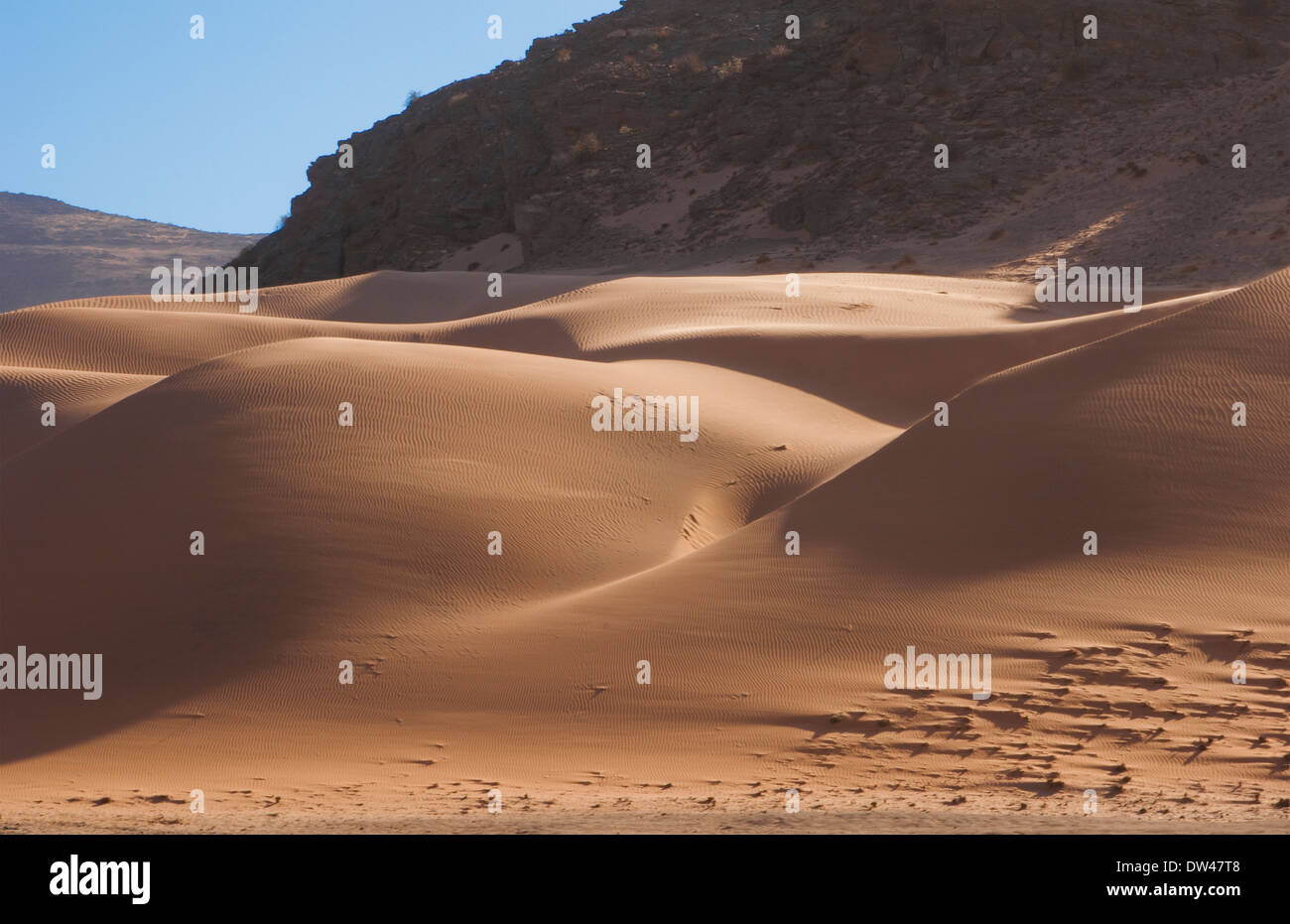 Namibia Northern Desert of Namib Desert tall wonderful sand dunes of ...