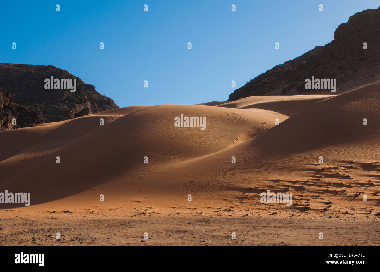 Namibia Northern Desert of Namib Desert tall wonderful sand dunes of ...