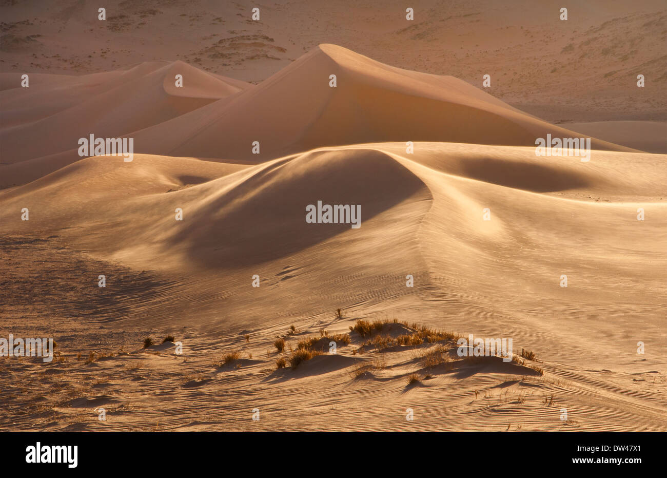 Namibia Northern Desert of Namib Desert tall wonderful sand dunes of ...