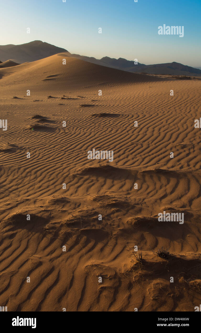 Namibia Northern Desert of Namib Desert tall wonderful sand dunes of ...
