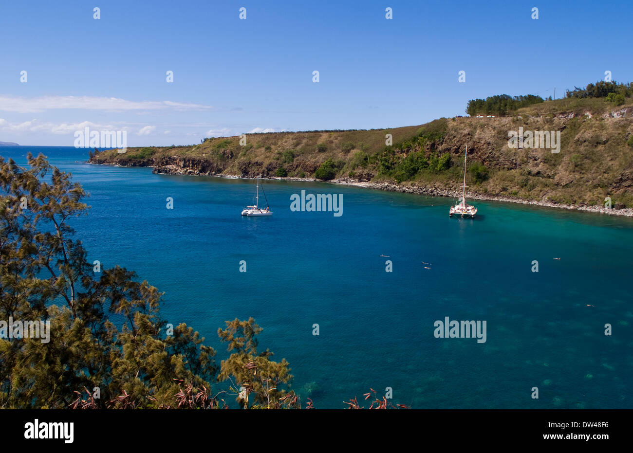 Relaxing scene of two catamaran boats and divers in peaceful Honolua ...