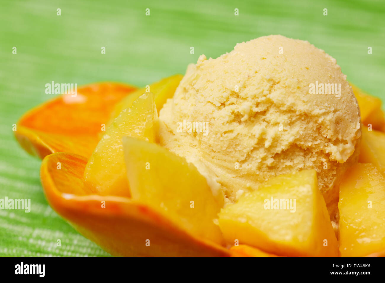 Scoop of homemade mango ice cream with fresh mangos Stock Photo - Alamy
