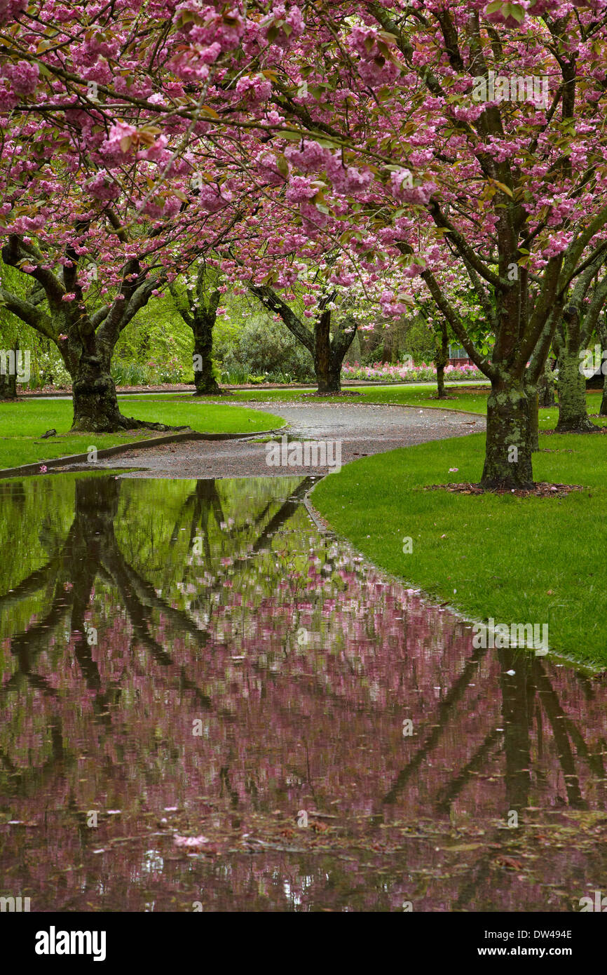 Ashburton new zealand hi-res stock photography and images - Alamy