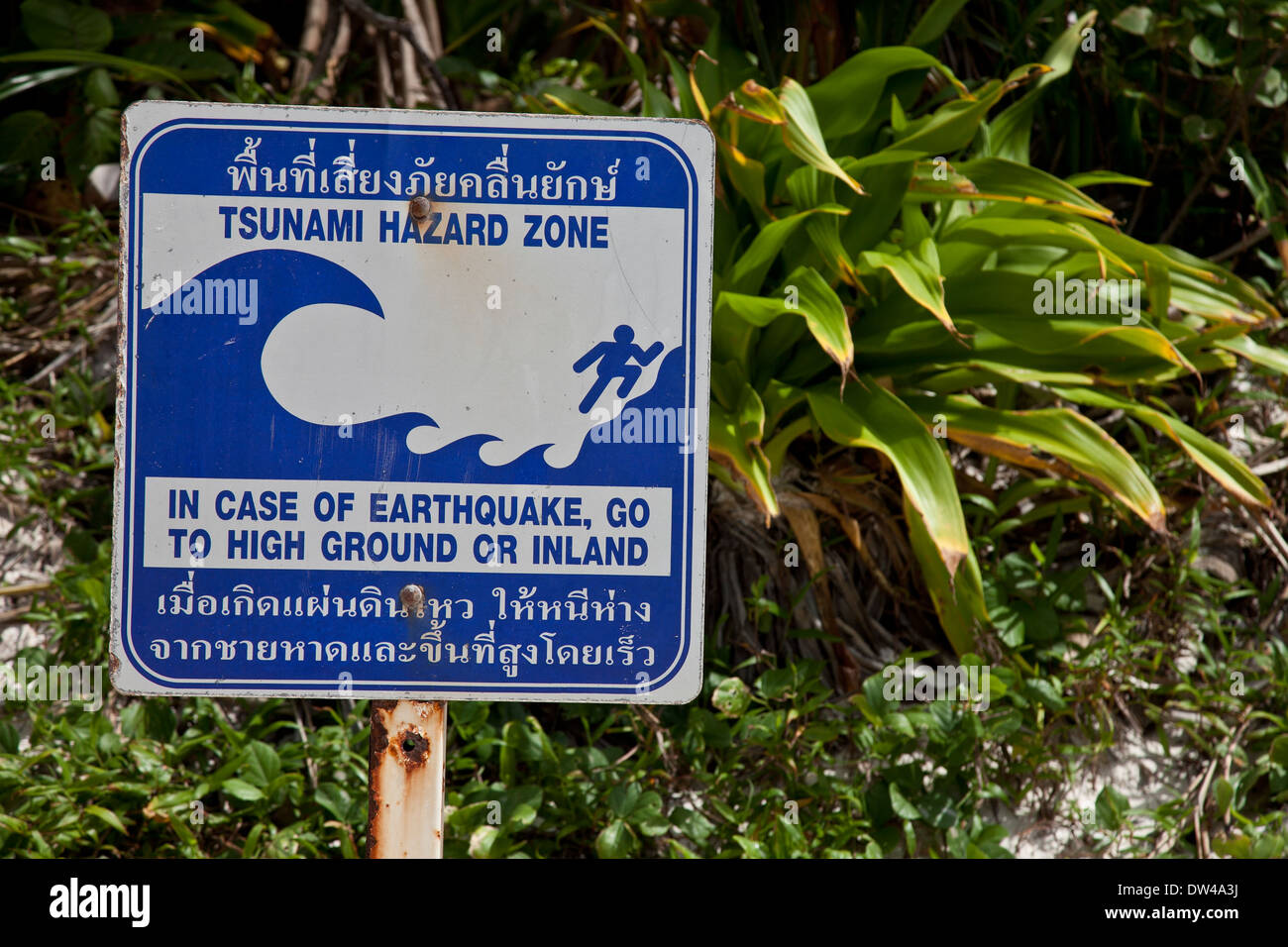 Tsunami sign beach hi-res stock photography and images - Alamy