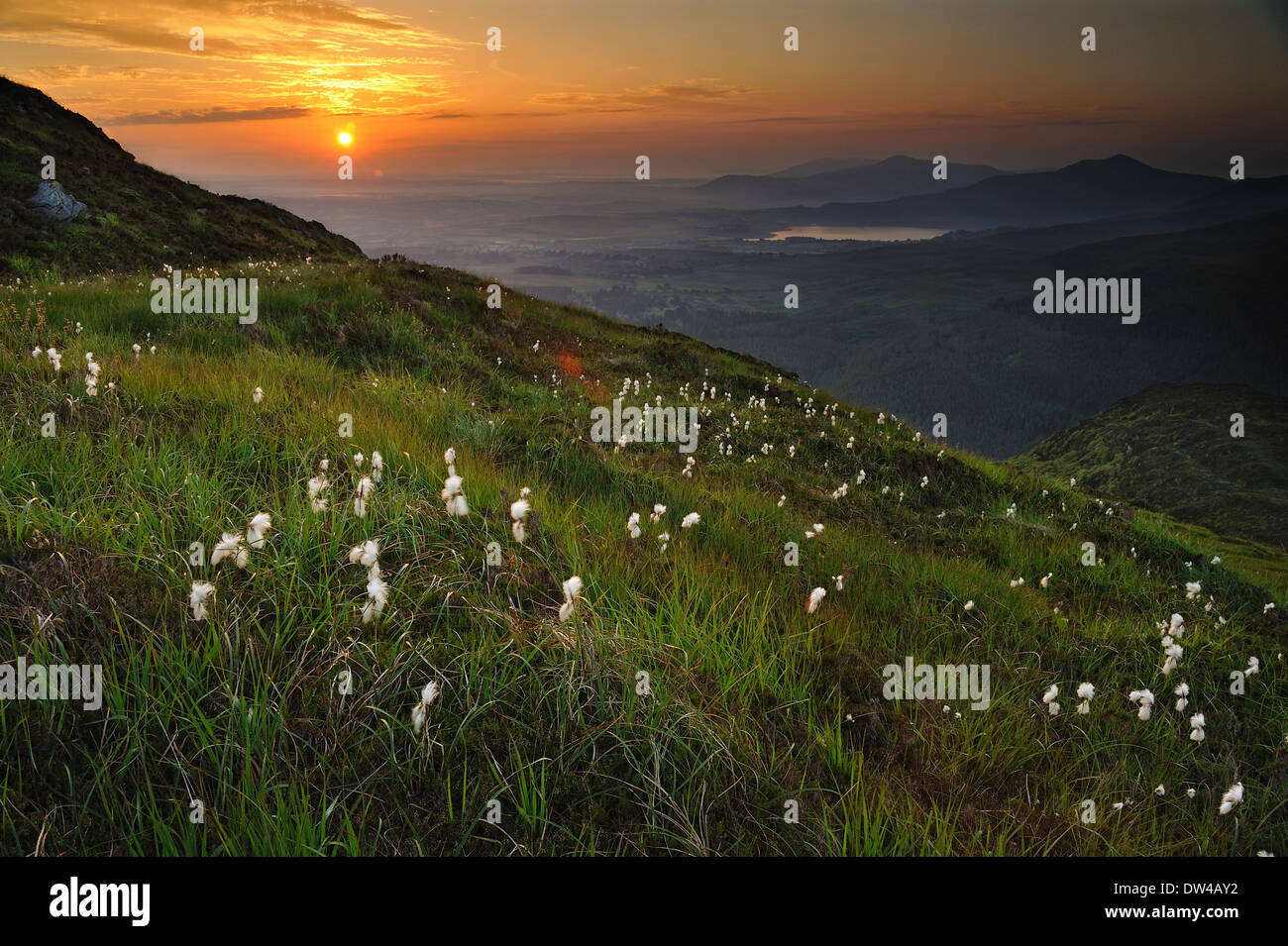 View of the sunrise from Torc mountain.Co.Kerry Stock Photo - Alamy