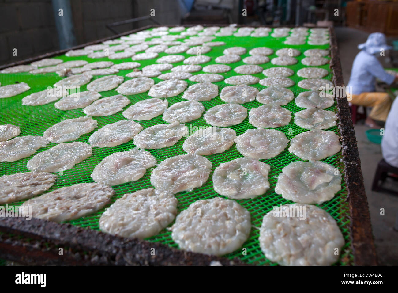 Fish Factory near Hoi An Stock Photo - Alamy