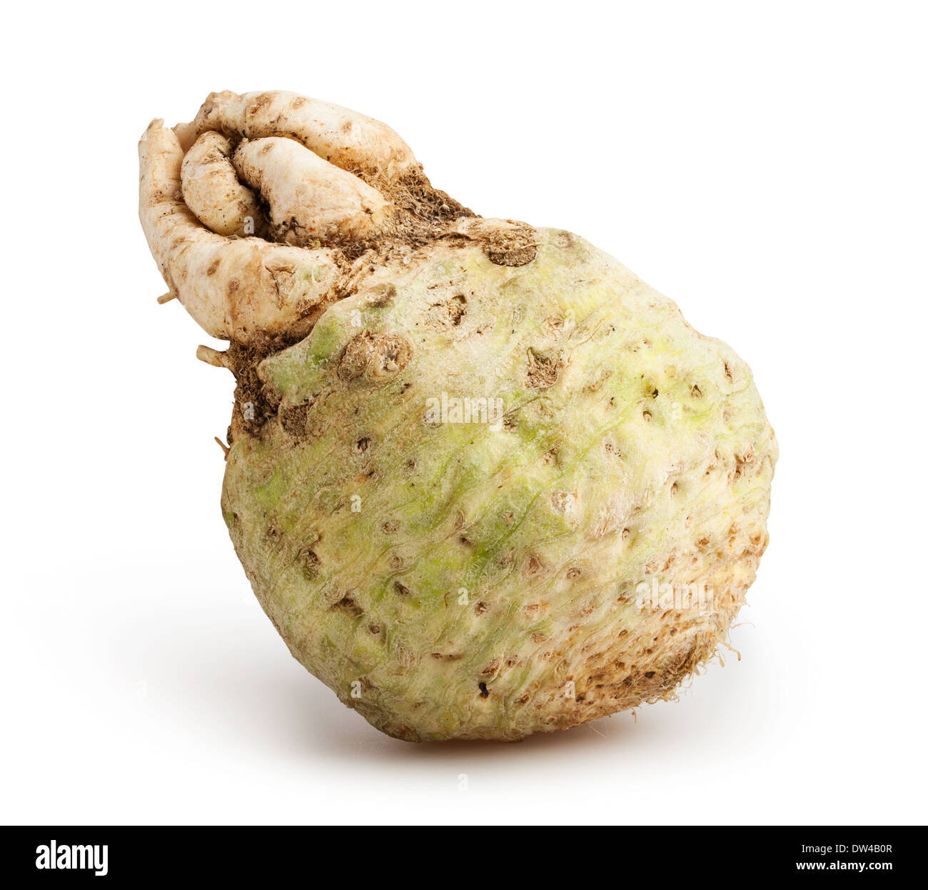 Celery root celeriac fresh hi-res stock photography and images - Alamy