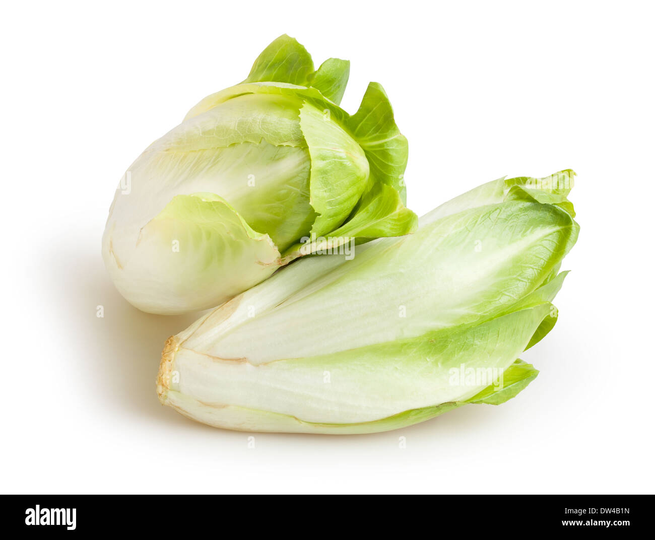 Endive isolated hi-res stock photography and images - Alamy