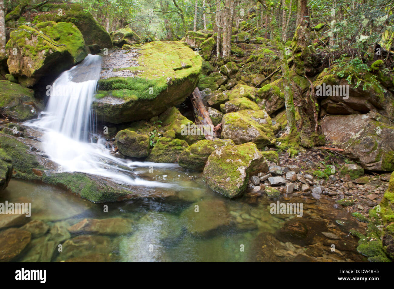 Smoko creek hi-res stock photography and images - Alamy