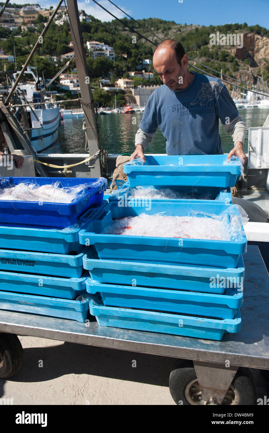 Unloading fish at port hi-res stock photography and images - Alamy