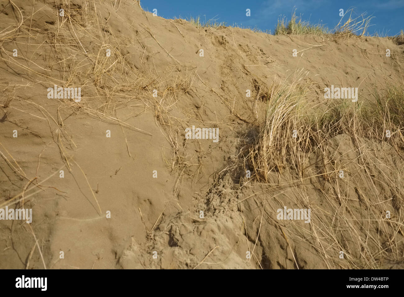 Recently eroded and wind blown sand dunes Stock Photo - Alamy