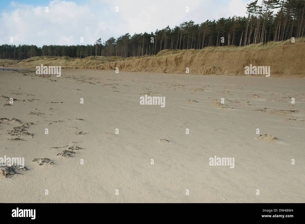 Recently eroded and wind blown sand dunes Stock Photo - Alamy