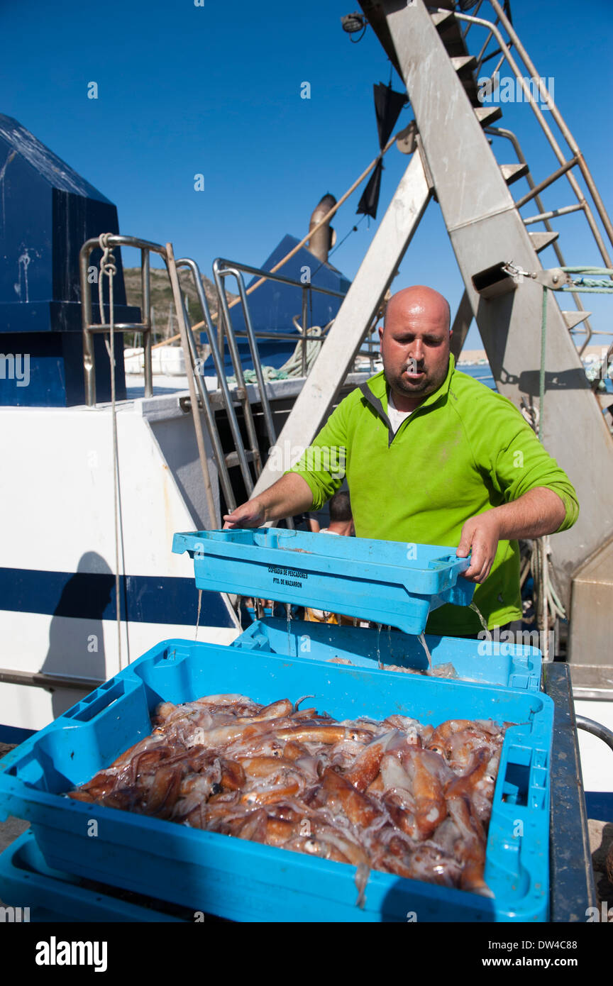 Unloading fish from boat port hi-res stock photography and images - Alamy