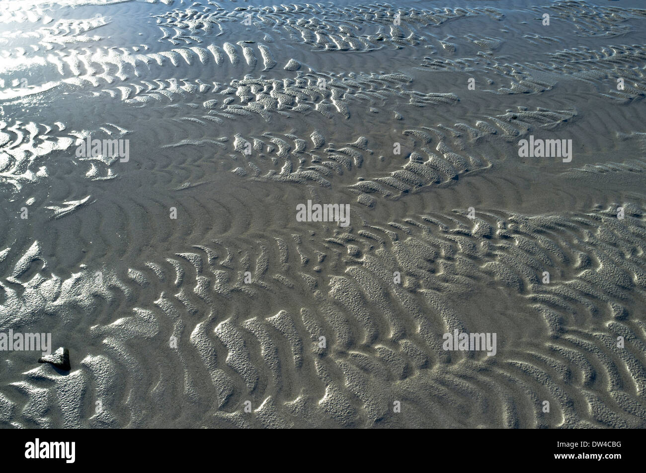 Seabed texture hi-res stock photography and images - Alamy