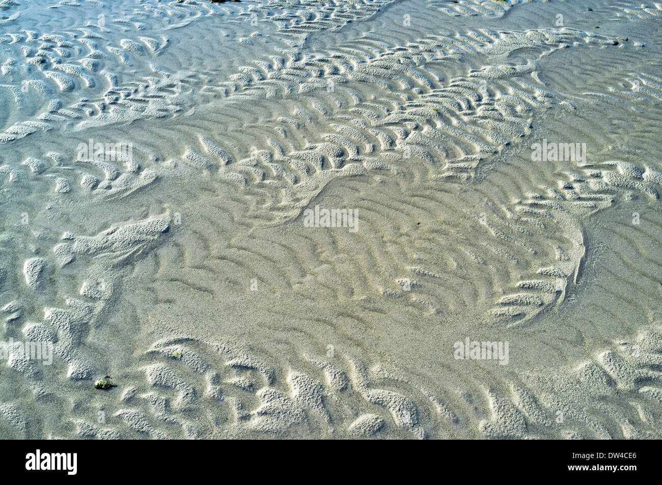 dh Sands water patterns SAND BACKGROUNDS BACKGROUND PATTERN Abstract ...