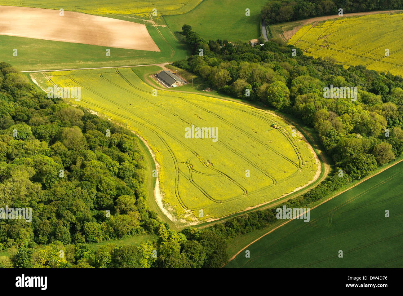 Early May fields Stock Photo - Alamy