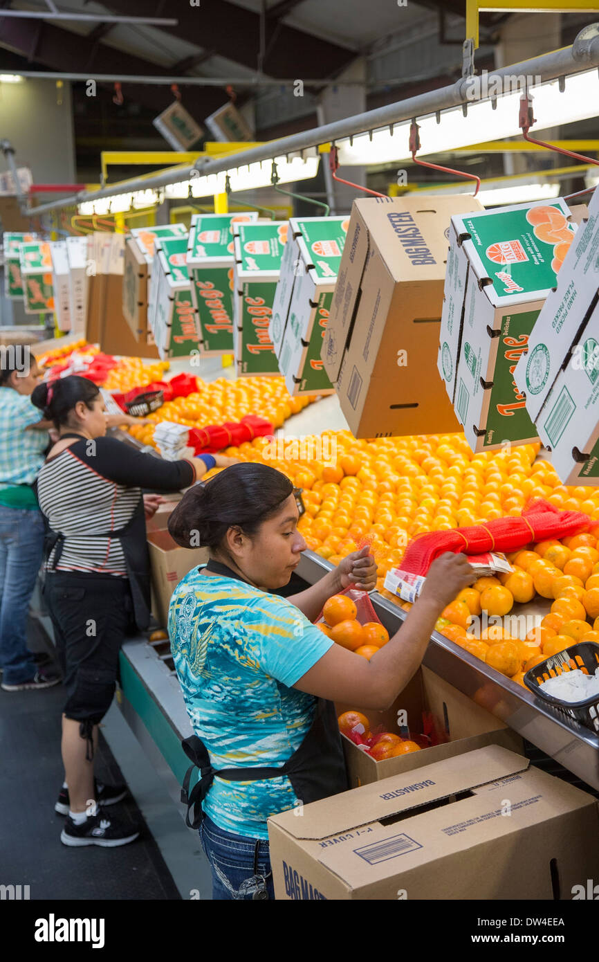 Florida citrus boxes hi-res stock photography and images - Alamy