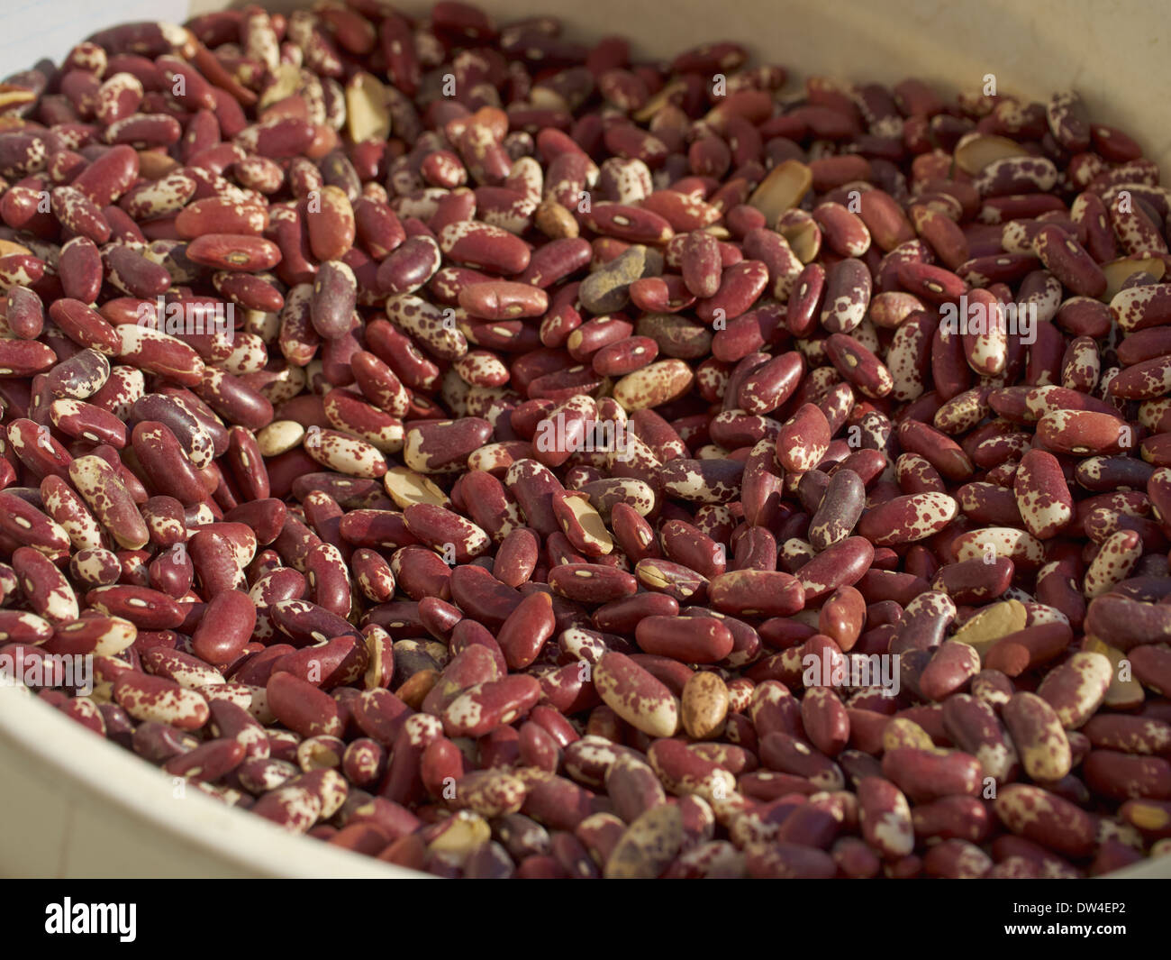 Native beans hi-res stock photography and images - Alamy