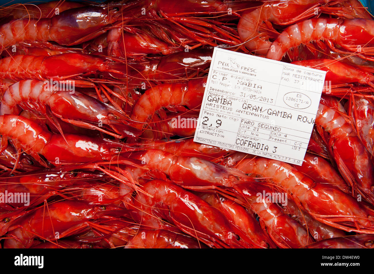 Sold prawns hi-res stock photography and images - Alamy