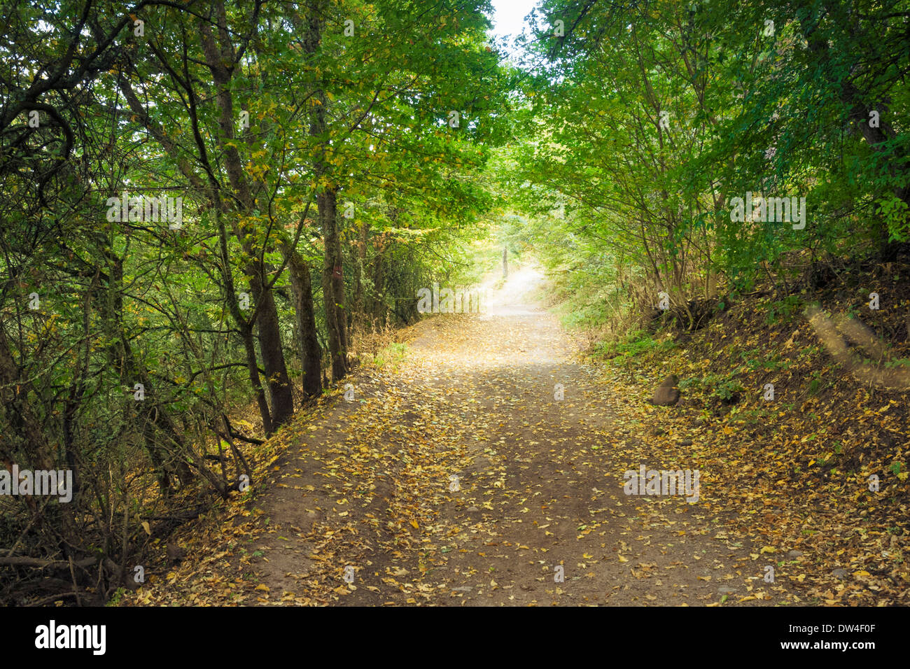 Mountain pathway hi-res stock photography and images - Alamy