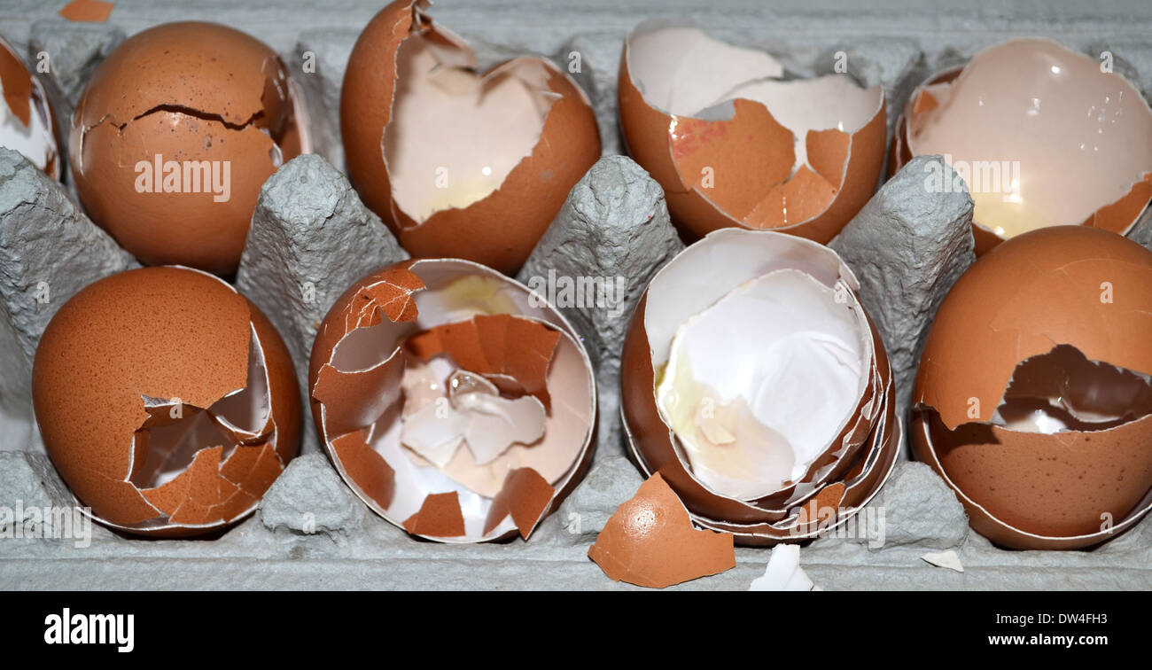 carton of egg shells Stock Photo - Alamy