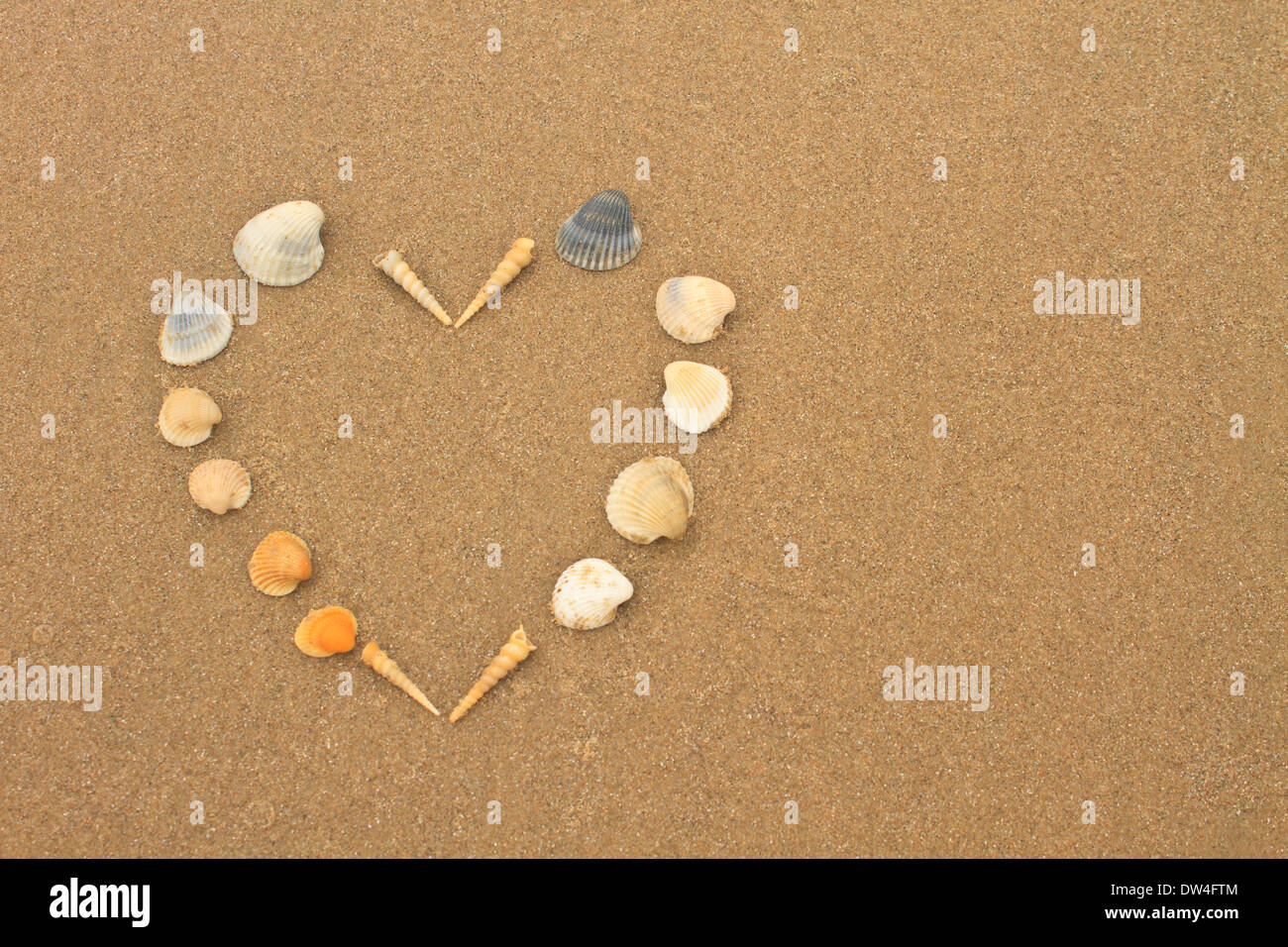 love heart made of shells on beach background concept image Stock Photo ...