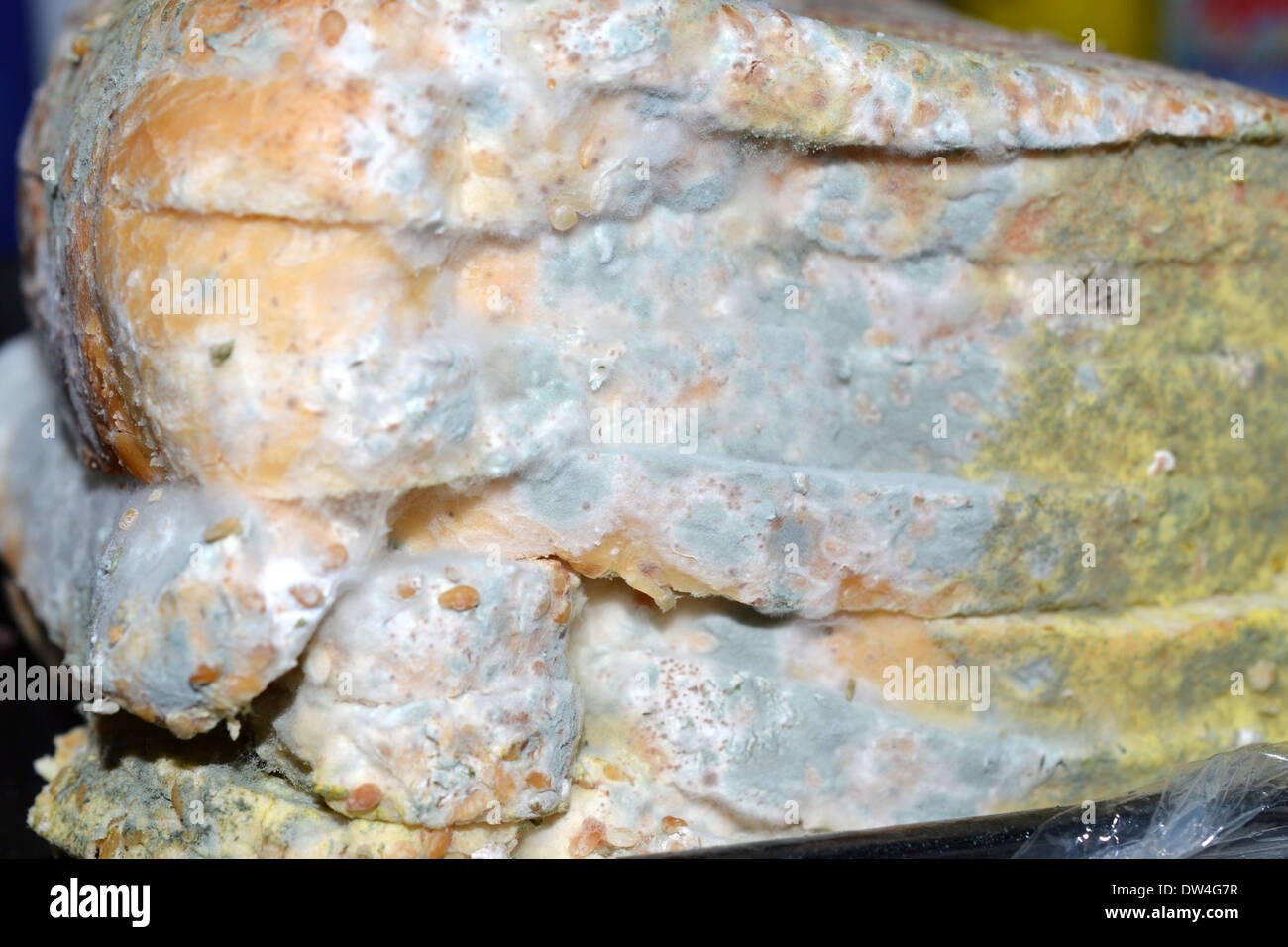 Moldy bread hi-res stock photography and images - Alamy