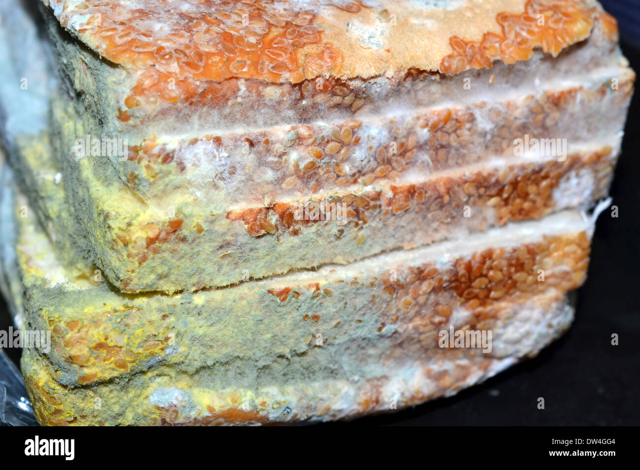 Moldy bread hi-res stock photography and images - Alamy