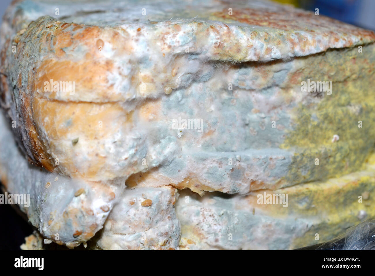 Moldy bread hi-res stock photography and images - Alamy