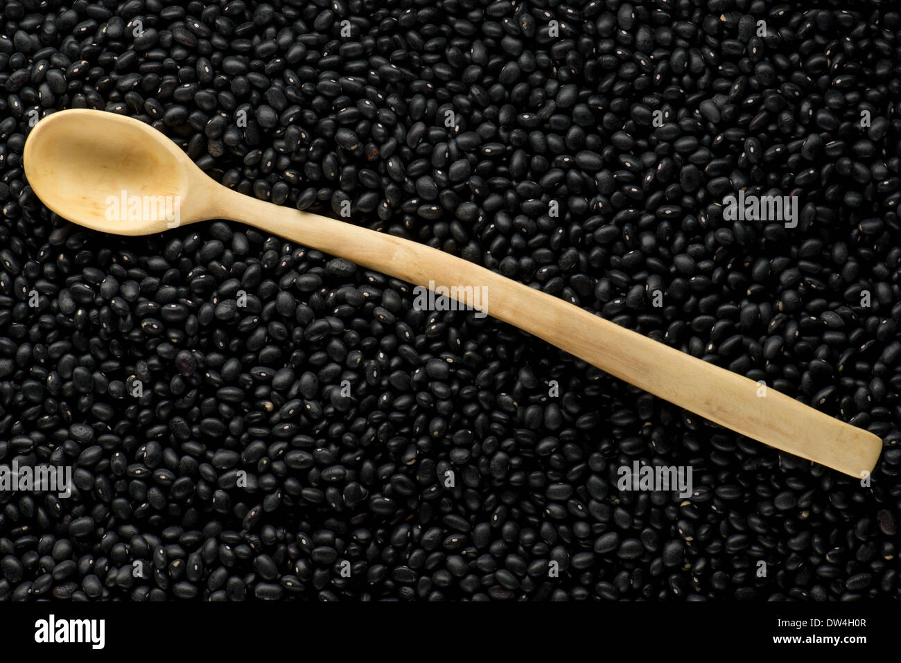 A spoon, hand carved from American Holly. On a background of black ...