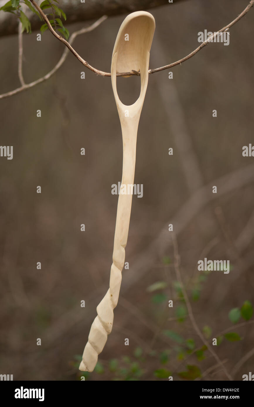 Hand carved spoon in American Holly Stock Photo - Alamy