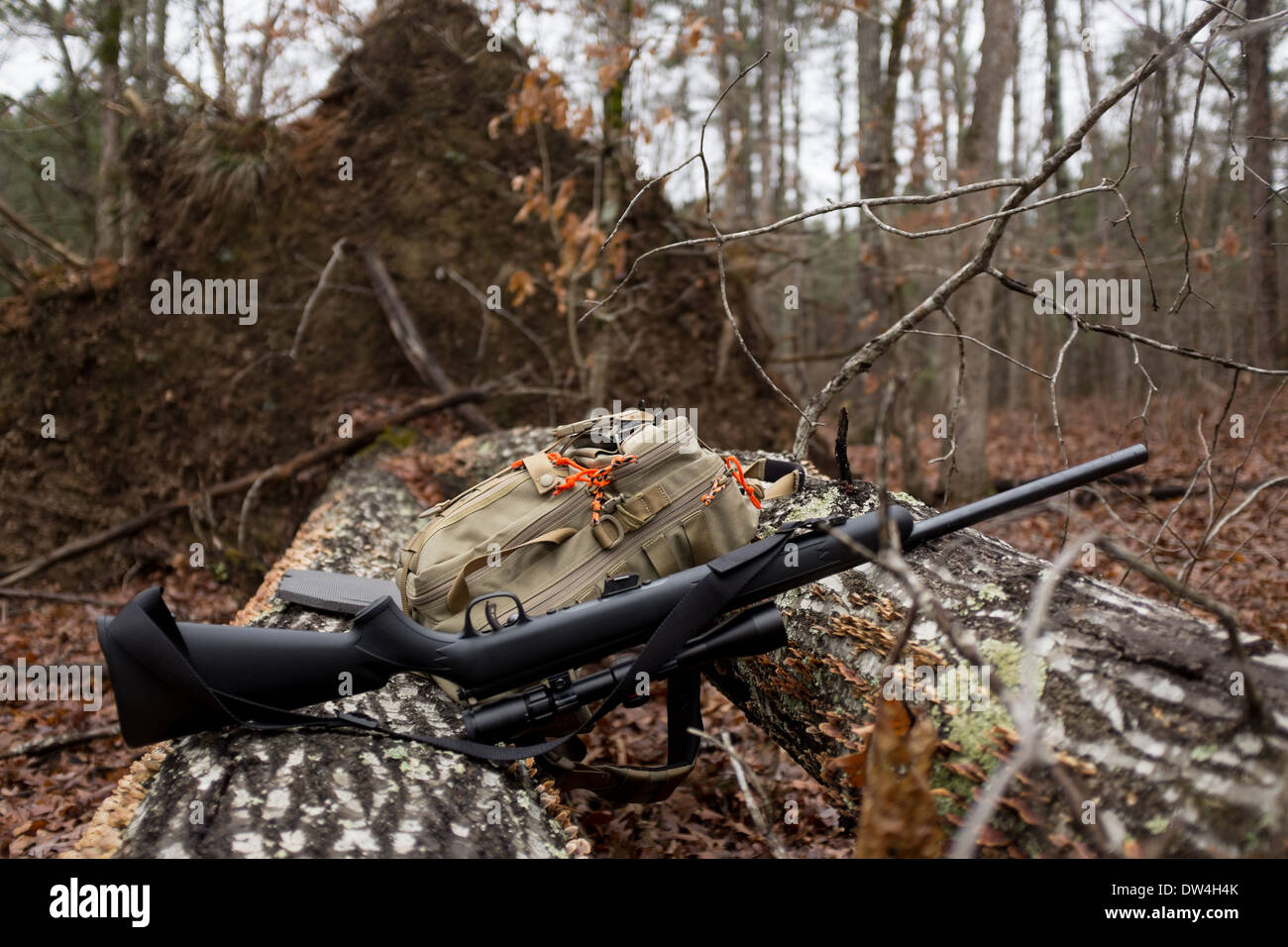 Modern bolt action rifle hi-res stock photography and images - Alamy