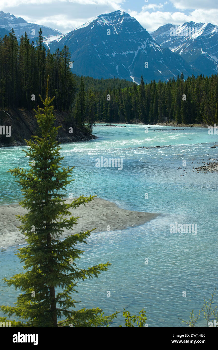 BOW RIVER BANFF JASPER NATIONAL PARK ALBERTA CANADA Stock Photo - Alamy