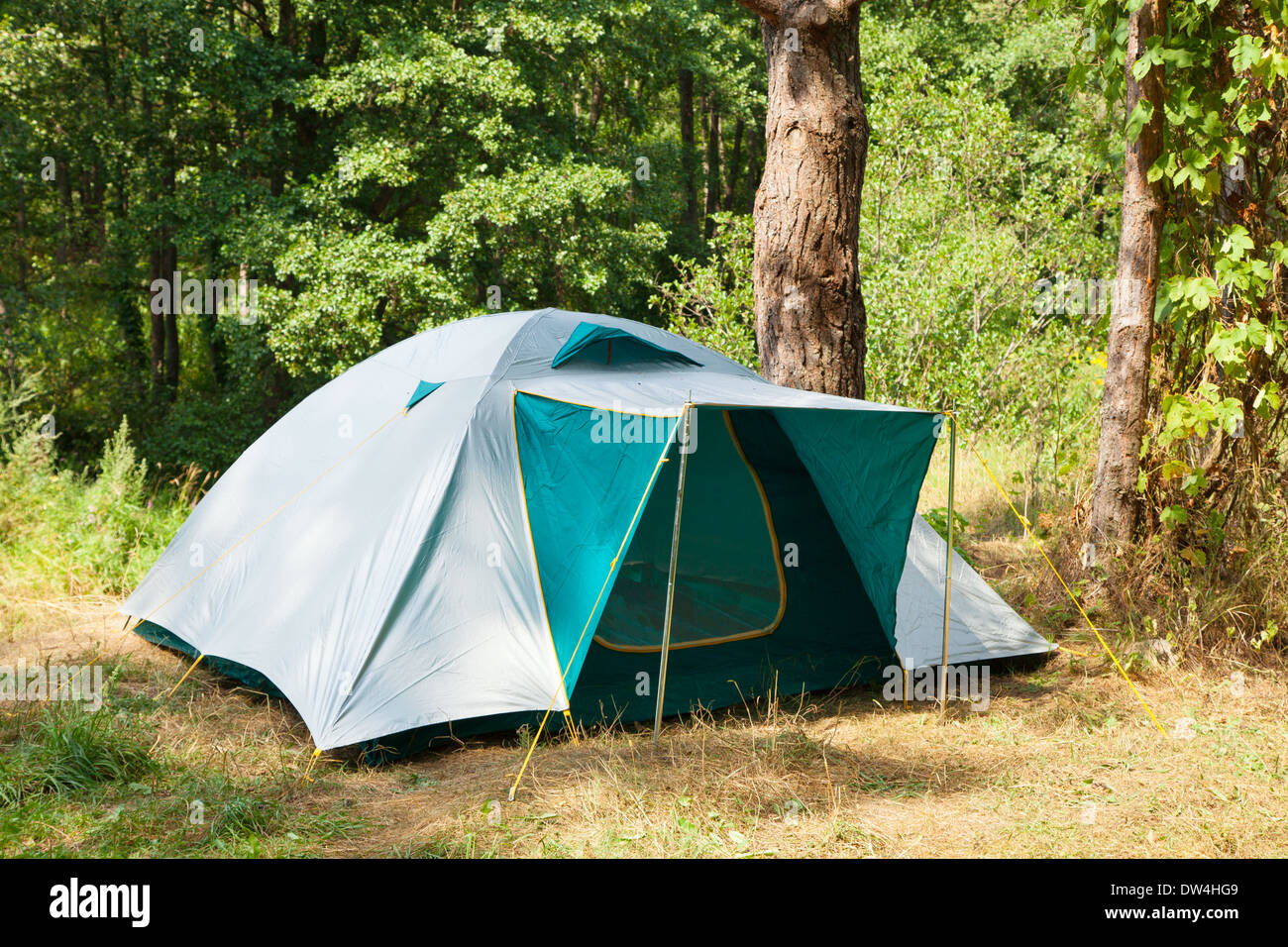 Forest rest house hi-res stock photography and images - Alamy