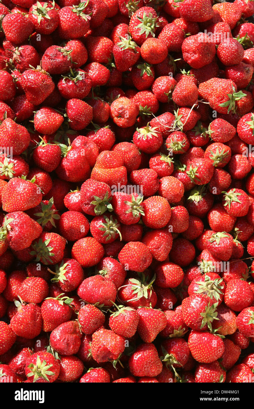 pile of Strawberries Stock Photo - Alamy
